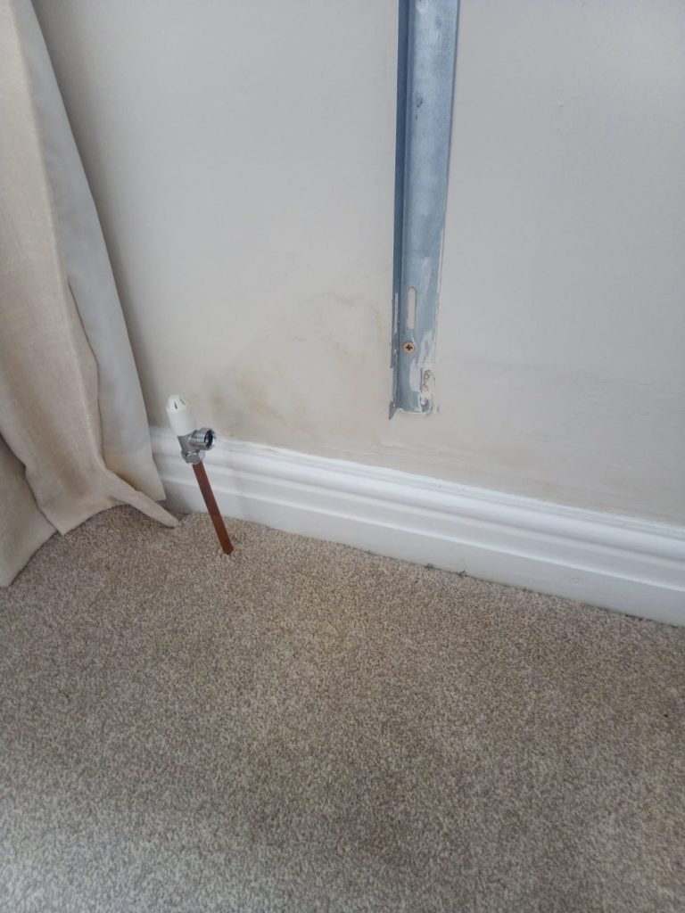 Resolving water ingress and rising damp under a back window wall in ...